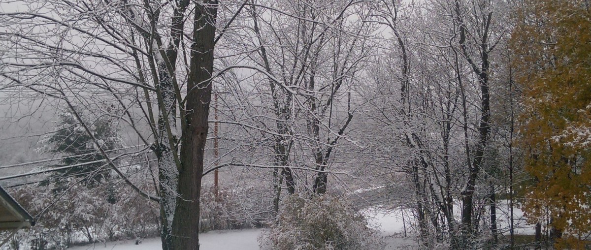 Snow Days | greenmountainsoftware