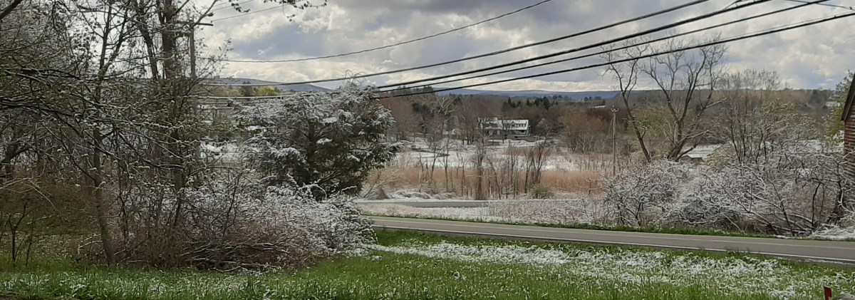 Checking the Setup | greenmountainsoftware