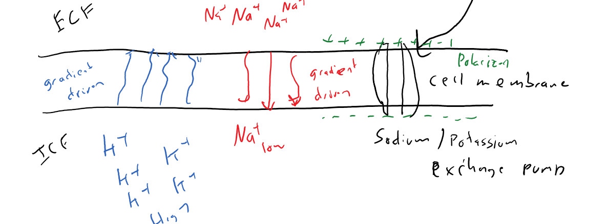 A Month In | greenmountainsoftware