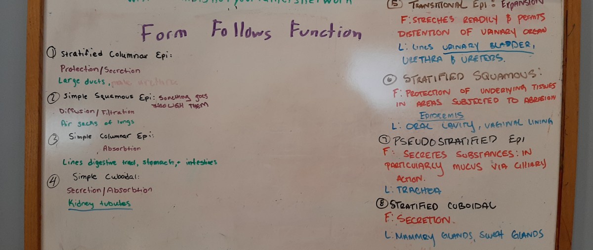 SQLBits – My Thoughts | greenmountainsoftware