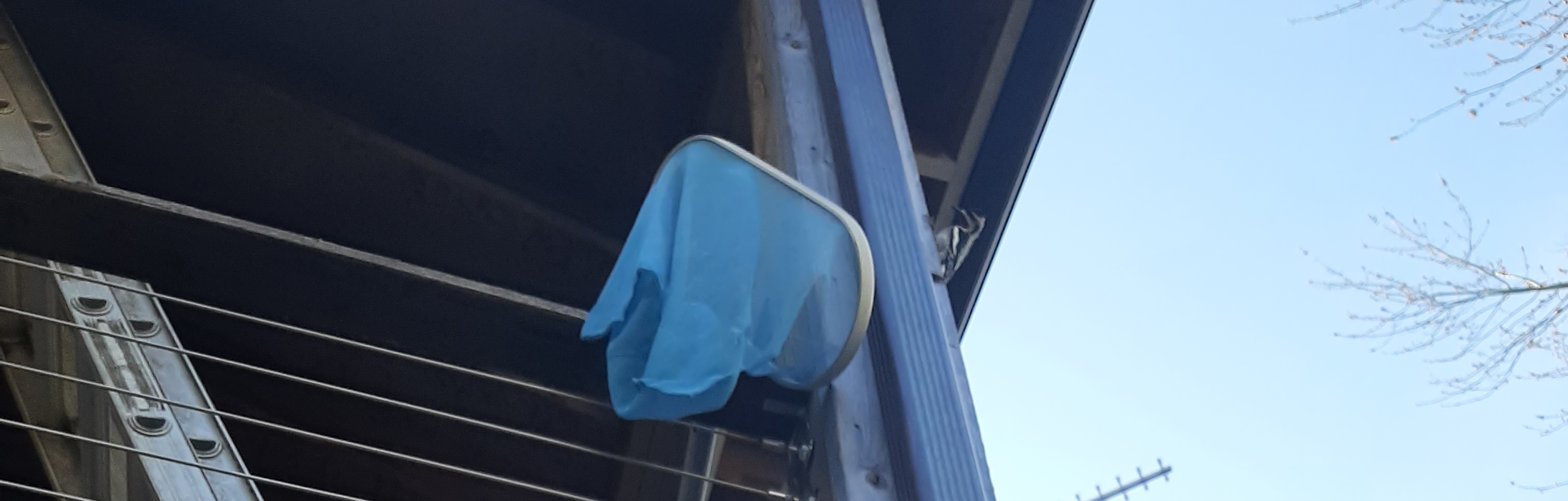 Woody Woodpecker | greenmountainsoftware