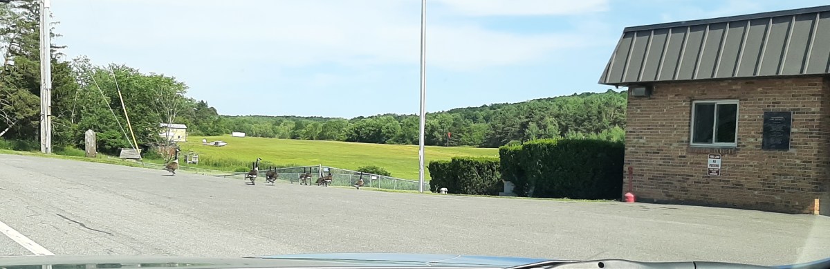 T-SQL Tuesday #152 – My Rant | greenmountainsoftware