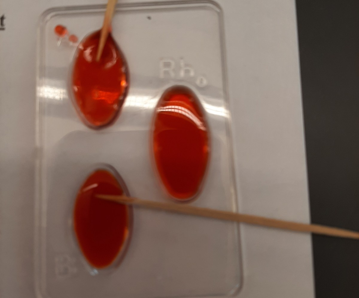 The Circle of Life | greenmountainsoftware