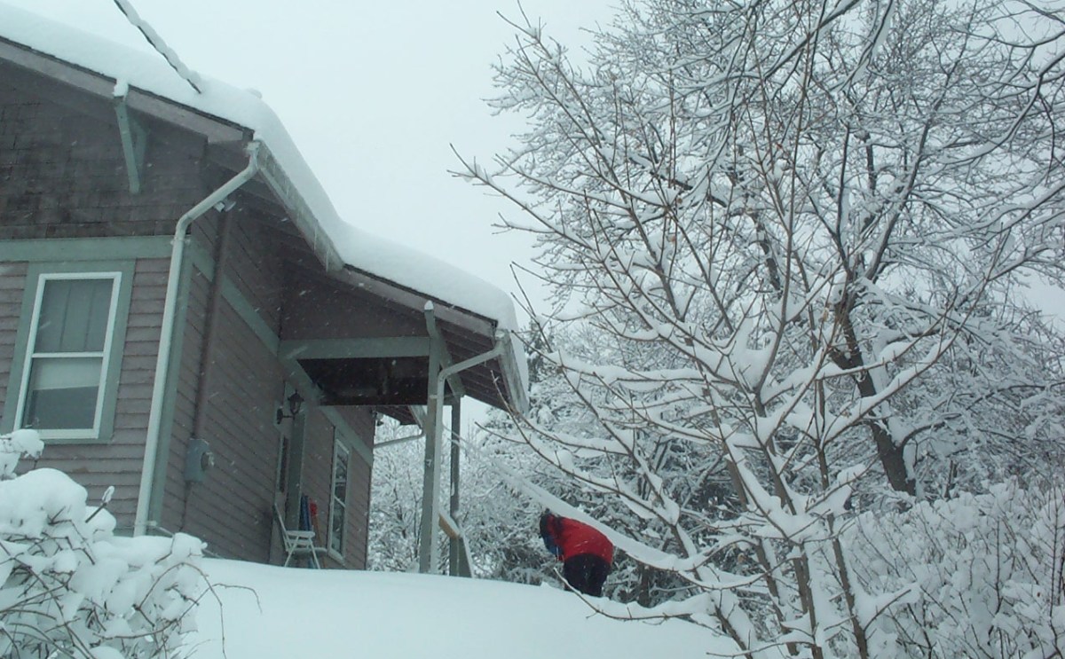 Winter Finally | greenmountainsoftware