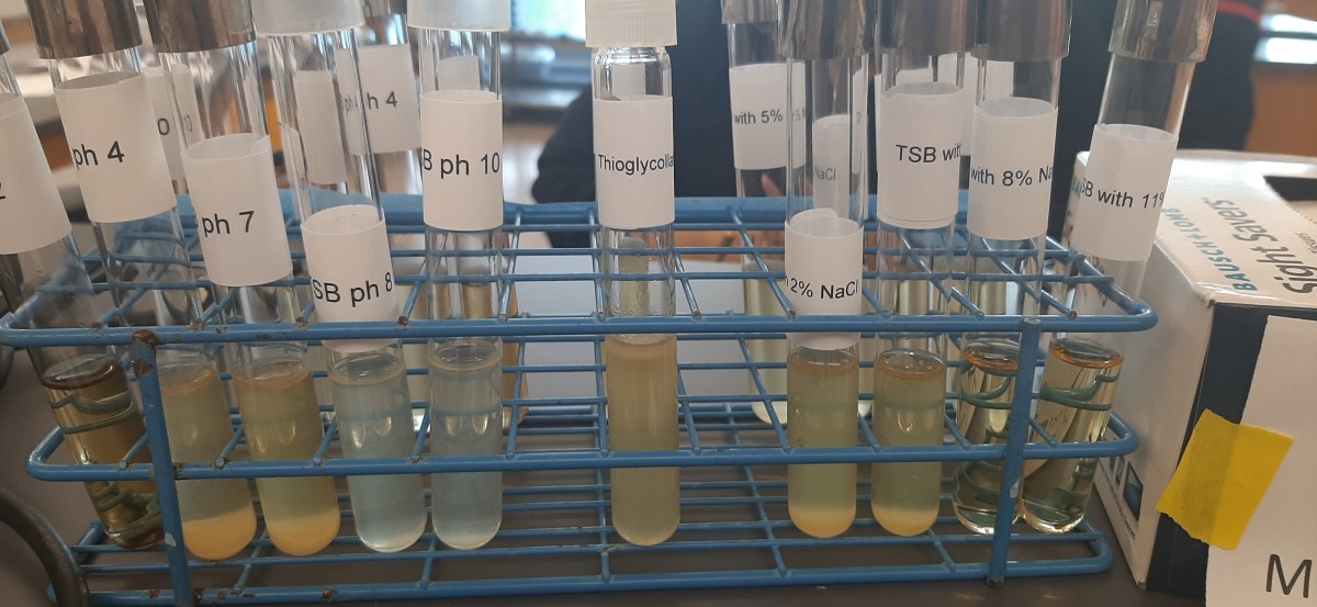 Running to Stand Still | greenmountainsoftware